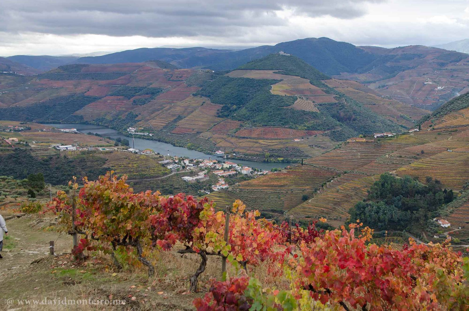 Background of the Douro Valley wine region, Portugal - David Monteiro